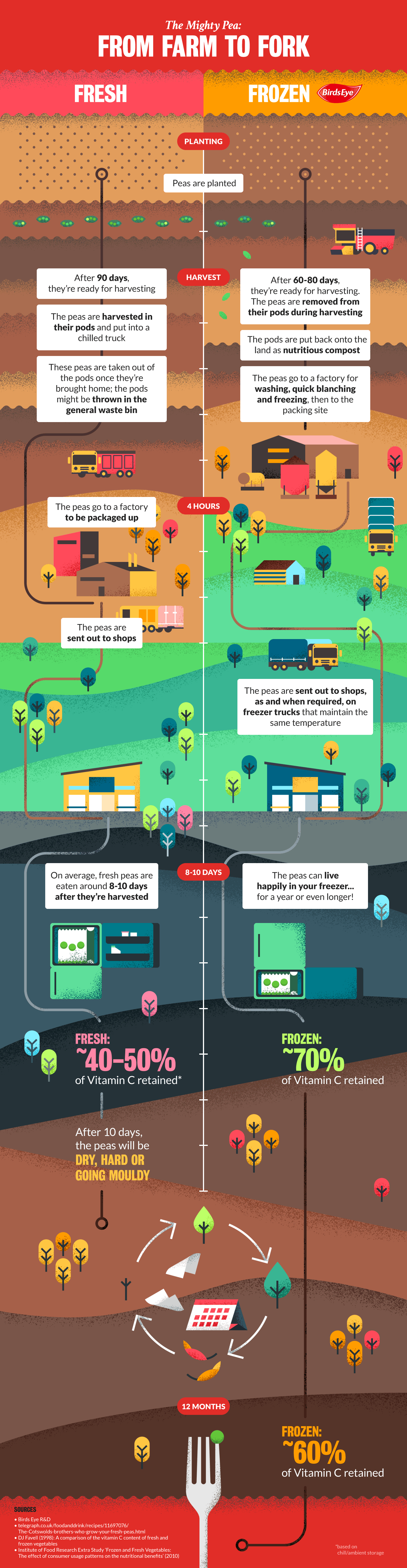 FROZEN FALLACIES: Busting persistent frozen food myths — British Frozen ...